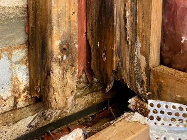 Invasive Testing | Moisture Detection Company Ltd